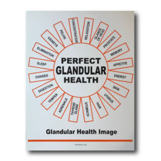 Health Image/Zones Charts™ (Set of 6) – Concept-Therapy Store